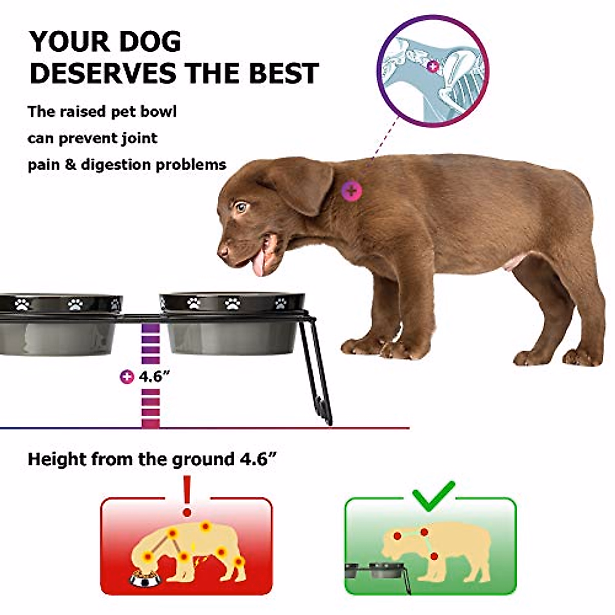 Y YHY Raised Dog Cat Bowls, Elevated Dog Cat Bowls 24oz, Ceramic Dog Cat Bowls for Food and Water, Pet Bowls for Cats and Small Dogs, Prevent Neck Pain, Anti Slip Feet, Grey