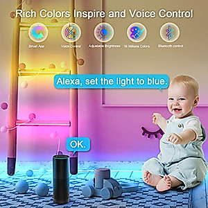 Cozylady WiFi LED Strip Lights 65.6FT, Smart LED Light Strips Compatible with Alexa, Google Home, Smart RGB Music Sync LED Lights Strip for Bedroom, Children's Room, Kitchen