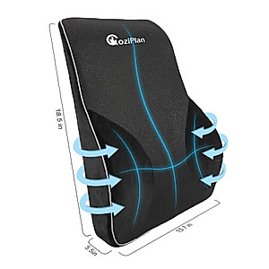 CoziPlan Lumbar Support Pillow for Office Chair - Support Version (Firm), Memory Foam Back Cushion for Chair and Car, with Non-Slip Back and Two Adjustable Belts…