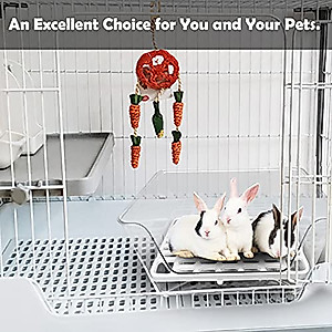 PINVNBY Transparent Rabbit Litter Box Bunny Corner Litter Bedding Box Small Pet Litter Pan Cage Potty Trainer Pet Toilet with Cleaning Tools for Guinea Pigs Chinchilla Ferret(White)