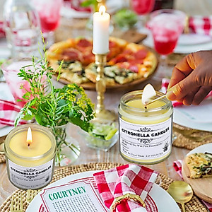 Citronella Candles Outdoor Large, 2 Pack Lemon Scented Candle, 16 OZ Natural Soy Wax Candles Set for Indoor Garden Patio Yard Home Balcony Bedroom Park Terrace Camping - 100 Hours Burning Time