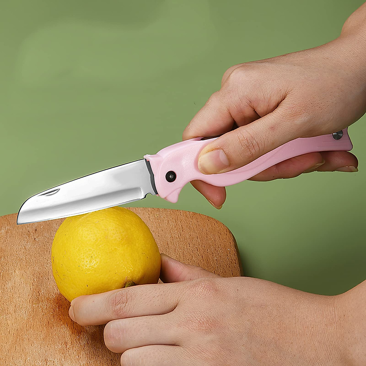 NC Paring Knife Fruit Knife Peeling Vegetable Peeler Folding Foldable Multi Function Travel Pocket Portable Mini Household for Kitchen Traveling Camping Outdoor Stainless Steel