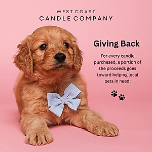 Mini Pet Friendly Mini Candle | Pet Safe Candle | All Natural Candle | Non-Toxic Candle | Pet Odor Eliminator | Pure Soy Candle | Dog & Cat Safe Candle | 2 oz (Bergamot Sunrise)