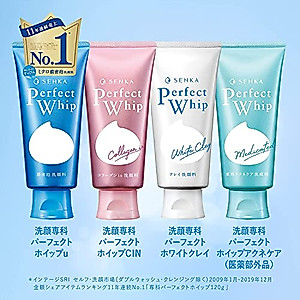 Senka Perfect Whip 4.2 oz (120 g)