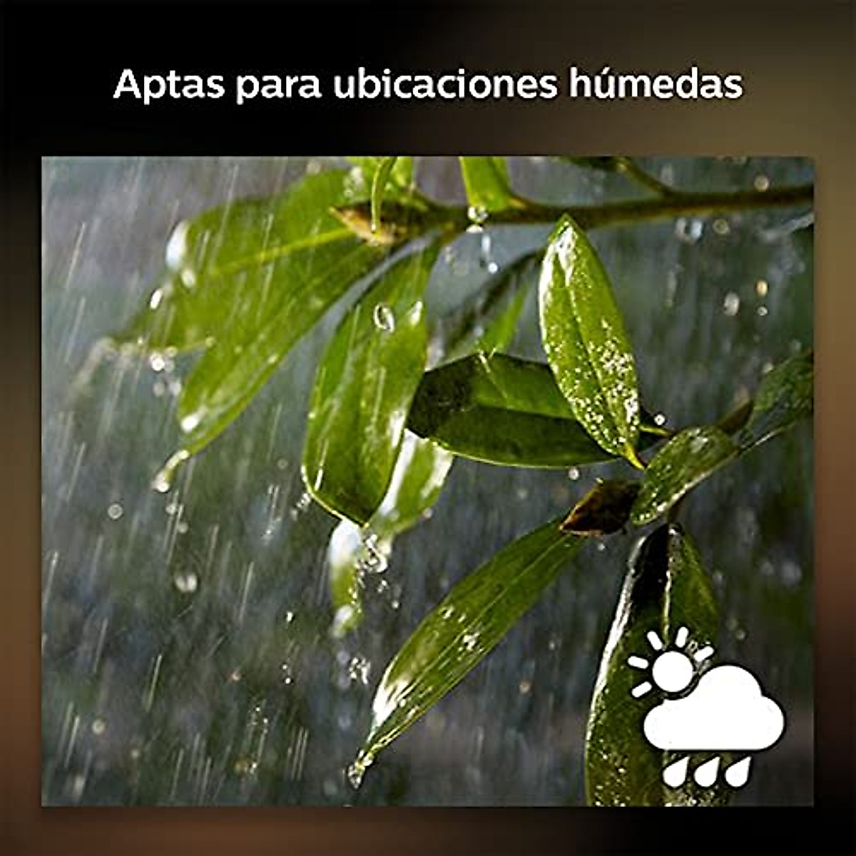 Philips Hue White Outdoor PAR38 13W Smart Bulbs (Philips Hue Hub required), 2 White PAR38 LED Smart Bulbs, Works with Alexa, Apple HomeKit and Google Assistant