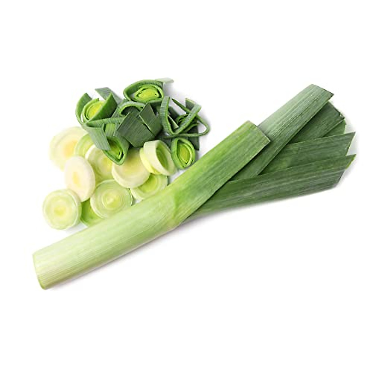 Large American Flag Leek Seeds for Planting, 500+ Heirloom Seeds Per Packet, (Isla's Garden Seeds), Non GMO Seeds, Botanical Name: Allium ampeloprasum, Great Home Garden Gift