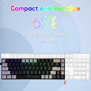 HUO JI 65% RGB Gaming Keyboard, E-YOOSO Z-686 Wired 68 Keys Mechanical Keyboard, Clicky Blue Switches, Pro Software Supported, Detachable USB-C Cable, Separate Arrow Keys - Black/Grey