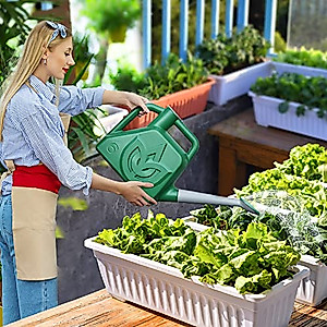 Watering Can for Indoor Outdoor Plants Garden Flower, 1.5 Gallon Modern Plastic Watering Cans with Removable Nozzle and Long Spout Ideal for Succulents, Outdoor, Gardening, Green