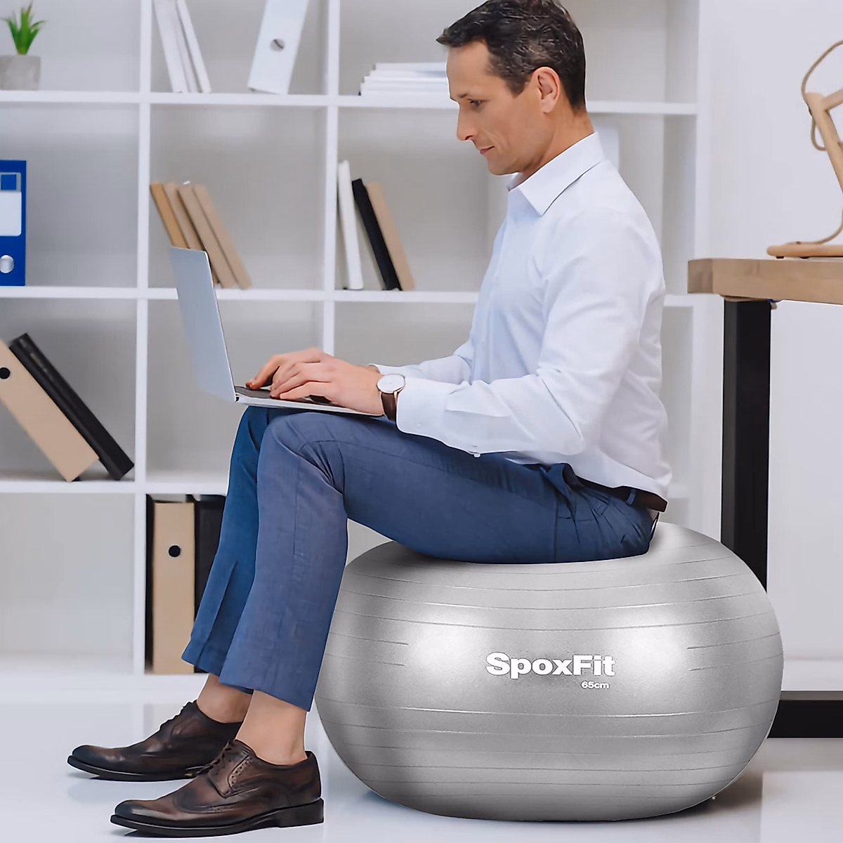 SpoxFit Ball Chair Yoga Ball Set, 65 cm Exercise Ball Chair with Base for Home Office, Stability Balance Ball with Resistance Bands Workout Poster, Home Gym Ball Anti Burst, Silver