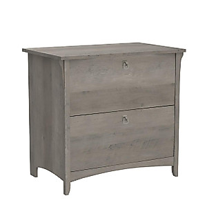 Bush Furniture Salinas Lateral 2 Cabinet Filing Drawer | Home Office Storage Organizer, Driftwood Gray