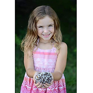 Organic Earth Carnivorous Plant Soil Mix 1 QT - Plant Food Peat Moss & Perlite for Carnivorous Plants - Terrarium Soil, Pitcher Plant Soil, Venus Fly Trap Soil