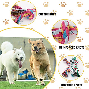 eggigi 60 Pcs Multi Color Knot Rope Dog Chew Toys Puppy Rope Toy Dog Tug of War Toy Chew Toys for Small and Medium Dogs Puppies