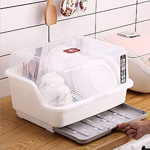 Tomorotec Medium Size Dish Drying Rack and Drain Board with Lid Cover, 16" x 12.2" x 10.6" Nursing Bottle Holder, Kitchen Plate Cup Dish Drying Rack Tray Cutlery Dish Drainer