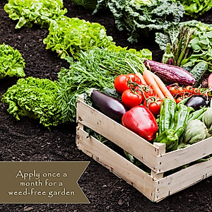 Preen Natural Vegetable Garden Weed Preventer - 5 lb, Covers 250 sq. ft.