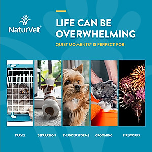 NaturVet Quiet Moments Calming Drops for Cats & Dogs – Helps Reduce Pet Stress, Promotes Relaxation – Dog Supplement, Cat Supplement Includes L-Tryptophan, Ginger, Chamomile – 2 Oz.