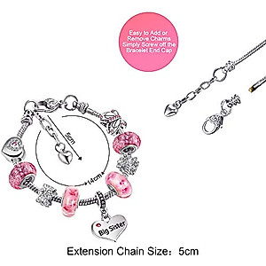 Hicarer Big Sis Gift Shiny Bracelet Crystal Charm Bangle Jewelry Wristband with Gift Box Set for Hers Lady(Pink Butterfly)