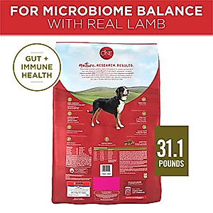 Purina ONE Dry Dog Food Lamb and Rice Formula - 31.1 Lb. Bag