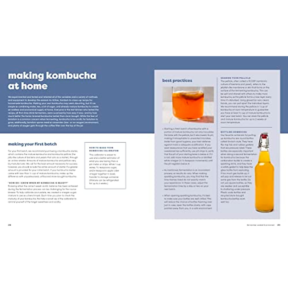 The Complete Guide to Healthy Drinks: Powerhouse Ingredients, Endless Combinations