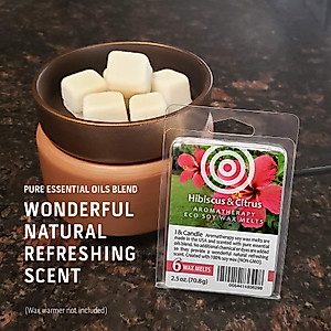 I & Candle, (Set of 4) Eucalyptus / Hibiscus & Citrus / Rose & Lavender / Rosemary & Mint Aromatherapy Wax Melts. 100% Soy Wax Non-GMO. Made in the USA