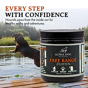 Free Range Joint Health Enhancer Supplement Powder for Dogs by Alpha Dog Nutrition - Premium Dog Arthritis Vitamins to Care for Joints - Contains Glucosamine, Chondroitin, MSM, Vitamin E, & More