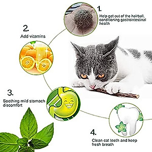 10 PCS Catnip Sticks Organic Cat Chew Toys Natural Plant Matatabi Silvervine Chew Sticks Cat Teeth Cleaning Chew Toy Cat Kitten Kitty 1