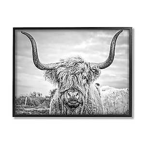 Stupell Industries Black and White Highland Cow Photograph Framed Giclee Art Design By Joe Reynolds, 16.00" x 20.00"
