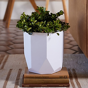 Bloem Tuxton Modern Hexagon Small Planter: 10" - Casper White - Matte Finish, Durable Resin, Modern Design, Optional Drainage Holes, for Indoor and Outdoor Use, Gardening, 2.7 Gallon Capacity