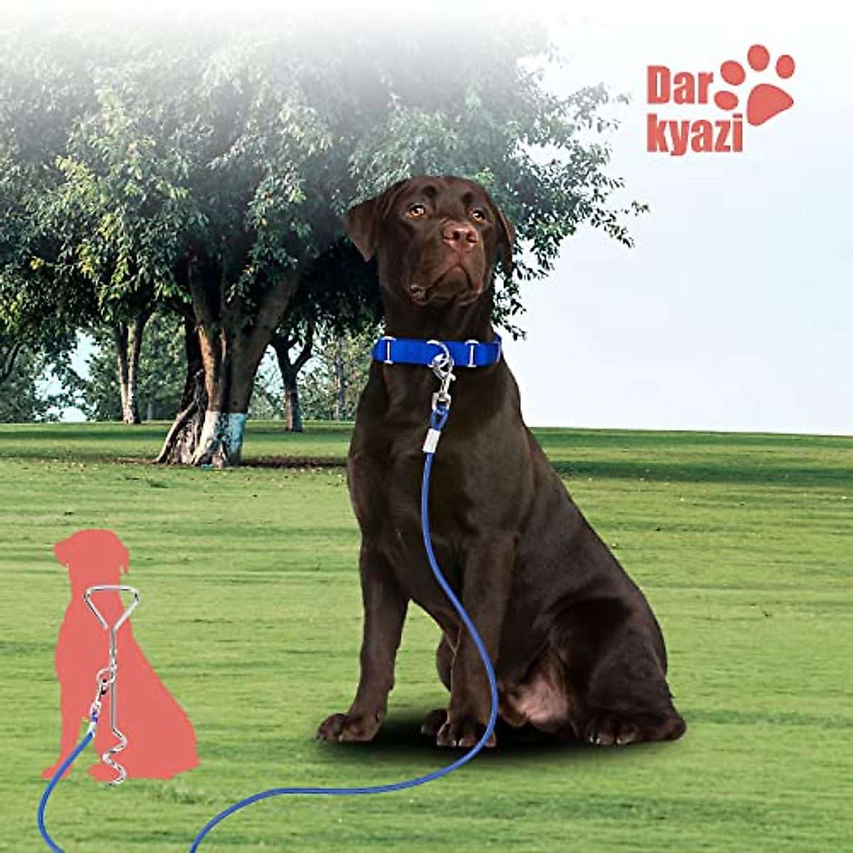 Darkyazi Dog Stake Tie Out Cable and Reflective Stake 16 ft Outdoor, Yard and Camping, for Medium to Large Dogs Up to 125 lbs (16ft Cable, 18" Stake, Silver)