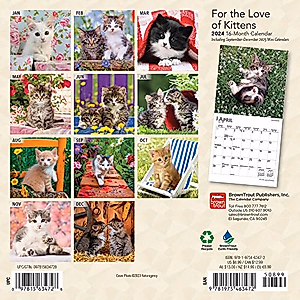 For the Love of Kittens | 2024 7 x 14 Inch Monthly Mini Wall Calendar | BrownTrout | Animals Cats Feline
