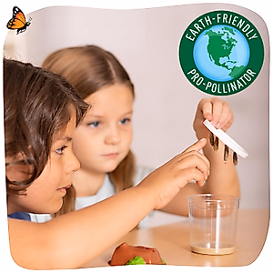 Insect Lore - Butterfly Growing Kit - With Voucher to Redeem Caterpillars Later