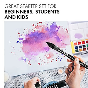 ARTIFY 12 Pieces Watercolor Paint Brushes, Intermediate Series, Synthetic Nylon Brushes for Watercolor, Acrylic, Gouache & Oil Painting, Includes Round, Flat, Cat's Tongue