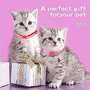 24 Pcs Puppy Collars for Litter Cat Collar with Bells Soft Nylon Whelping Puppy Collars Adjustable Reflective Cat Collar for Newborn Pets Dogs, Assorted Colors (Lovely Style)