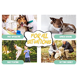 Lyderpet Dog Brace Front Leg Wrist Support, Canine Dog Carpal Brace Splint, Prevents Injuries and Sprains, Protects Carpus Joint Wounds Heals, Helps with Loss of Stability Caused by Arthritis