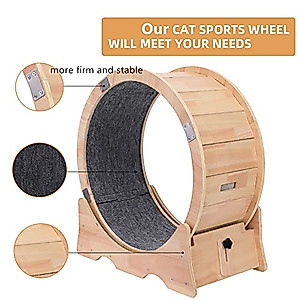 Cat Wheel, Cat Treadmill, Exercise Wheel, Cute Cat Furniture, Pet Toy, Cat Toy, Cats Loss Weight Device (Medium)
