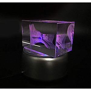 3D Human Ear Anatomical Model Paperweight(Laser Etched) in Crystal Glass Cube Science Gift (No Included LED Base)(3.1x2x2 inch)