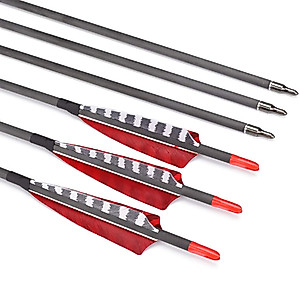 ELONG 6PCS 30" Arrows for Compound Bows,Pure Carbon Hunting Arrows for Archery Spine 700 with 100 Grain Screw Tips,4" Turkey Feathers, for Compound & Recurve & Traditional Bow