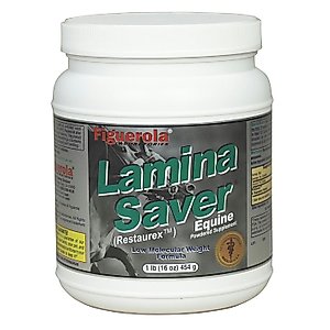 Figuerola LaminaSaver