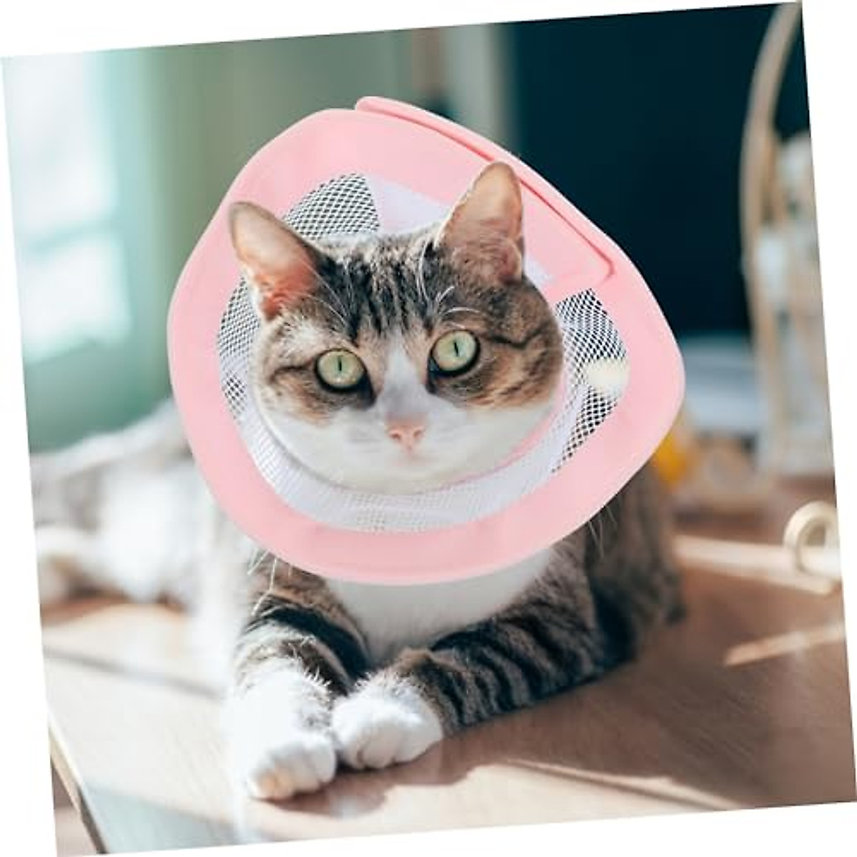 Yardwe 2pcs Compound Cone Collar Bonsai Tree for Aquarium Tank After Surgery Cat Collar Cats Supplies Soft Recovery Collar for Cats Cat Cone Cat Supply Cat Neck Circle PVC Pet Pink Pillow