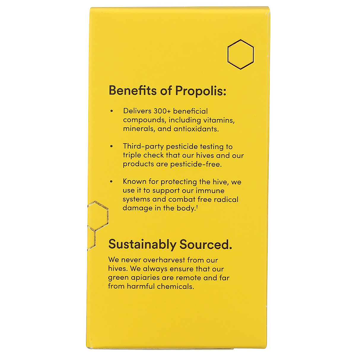 Beekeepers Naturals Propolis Sinus Support, 60 CT