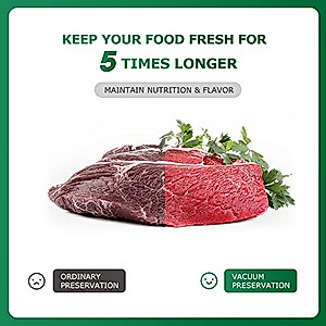 FRESKO 8” x 12” 200 Count Food Vacuum Sealer Freezer Storage Machine Bags for Food, PreCut Quart, BPA Free, Commercial Grade, Great for storage, Meal prep and Sous Vide