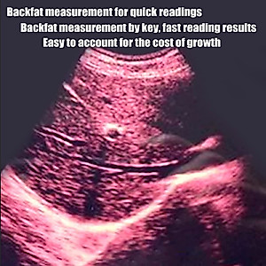 Veterinary B-Ultrasound Scanner Ultrasound Scanner for Pregnancy 6.5 MHz Rectal Probe, for Volume Heart Rate Measurement with 32G TF Card, 8 Color Panels, B/BB/4B Mode for Cattle, Horse, Camel Snake