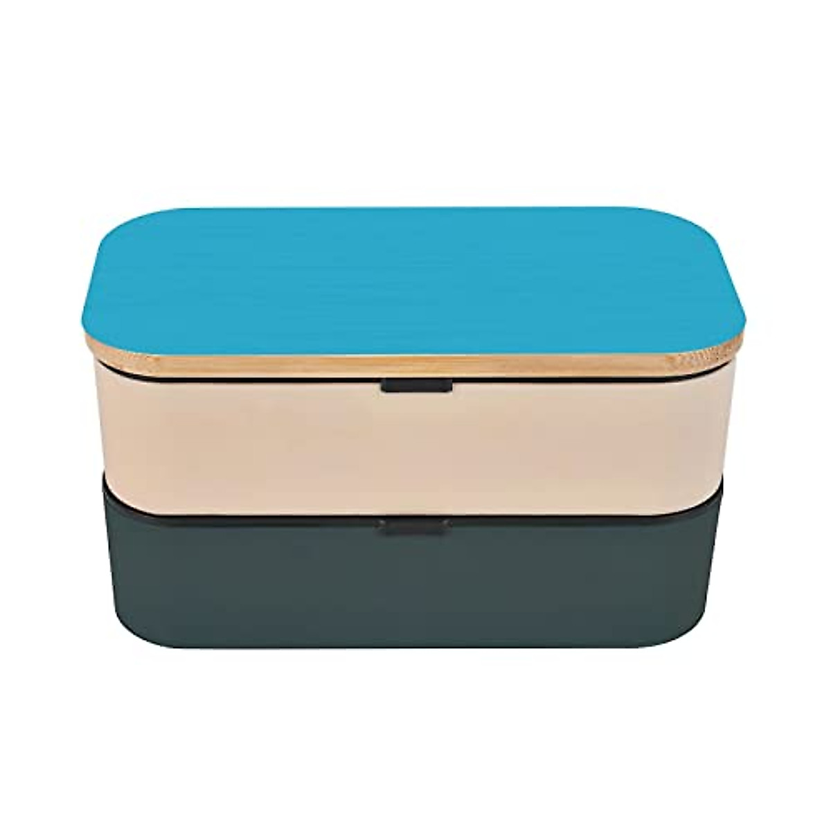 Sea Cyan Premium Bento Lunch Box, 2 Compartments Leakproof Lunch Box With Cutlery For Adults, Microwave & Dishwasher Safe