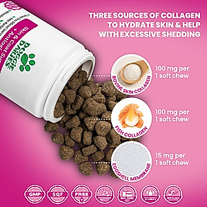 Doggie Dailies Skin & Coat Supplement + Antioxidant Support, 225 Soft Chews, Salmon Oil for Dogs Skin and Coat with Collagen, Omega 3, Krill Oil, Biotin, & Coconut Oil for Dogs (Salmon)