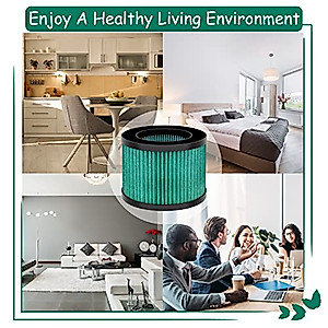 Asheviller MK01 MK06 Replacement Filter, Compatible with AROEVE MK01 MK06 and Kloudi DH-JH01, Intelabe EPI080/EP1080& Elechomes EPI081/EP1081 Air Purifier, Pet Dander Version, 2Pack (MK01 Green)
