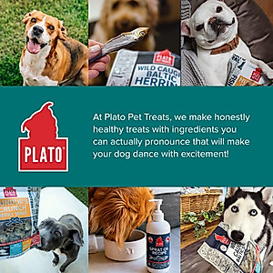 PLATO Pet Treats Fish Dog Treats - Air-Dried, Single Ingredient Dog Treat - with Omega 3 & 6 Fatty Acids to Support Skin and Coat - 100% Whole Fish - Wild Caught Baltic Herring Dog Treats - 3oz