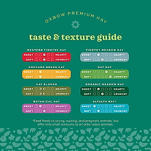 Oxbow Animal Health Hay Blends - Western Timothy & Orchard - 15 Ounce