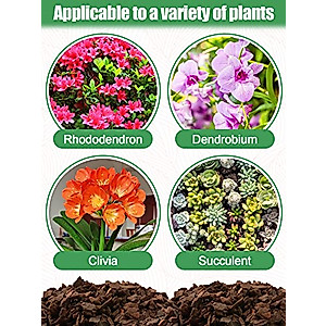 5 Quarts Orchid Potting Bark, Sun-Dried New Zealand Medium Organic Pine Wood Chip Barks for Orchids Mix Plant Compost, Natural Houseplant Mulch for Plant Root Development