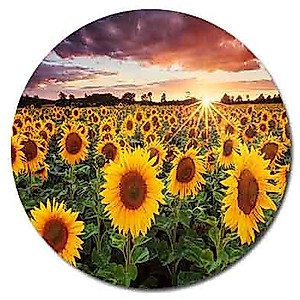 Blooming Sunny Sunflower Round Coaster Set of Drink- Made of Polyester Fabric and Recycled Rubber Coaster Set - Set of 4