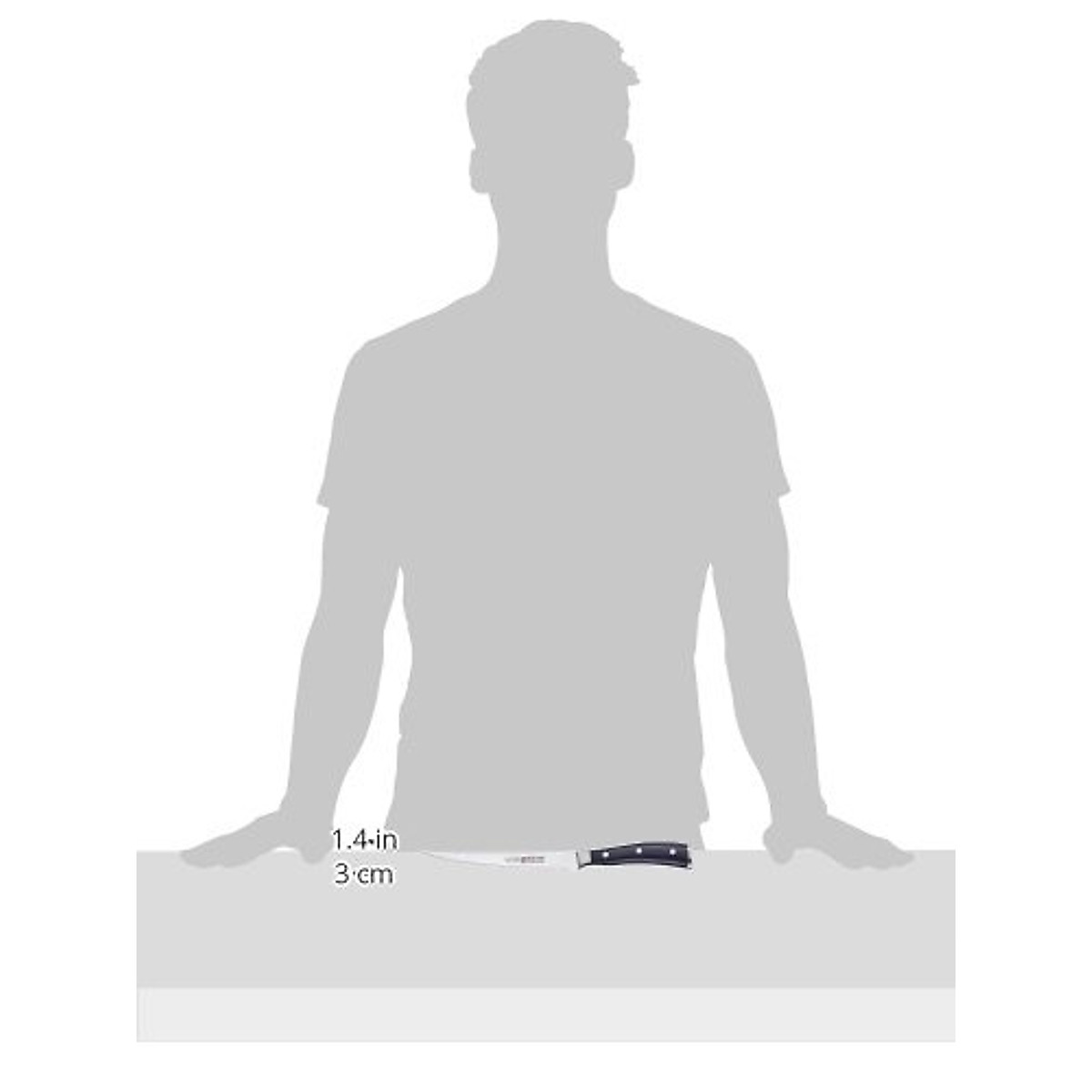 Wusthof Classic IKON Fillet Knife, One Size, Black, Stainless