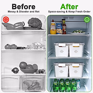 Airtight Fruit Storage Containers for Fridge: 4 Compartment Large Food Storage Container with Lids & Handle & Removable Drain Tray - Berry Fruit Vegetable Fresh Produce Saver for Travel Picnic